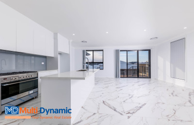 Multi Dynamic | Your Dynamic Real Estate